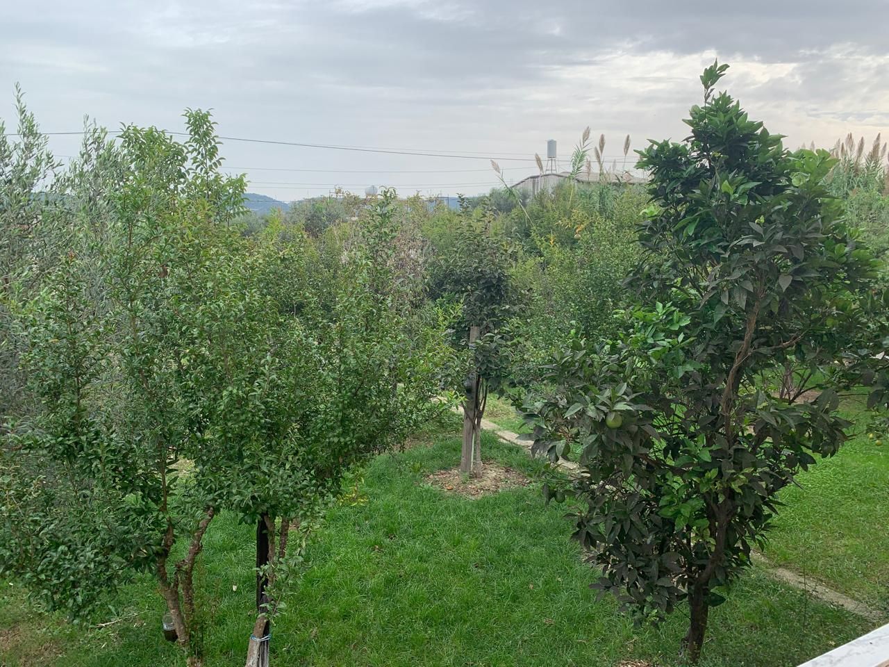 Private House For Sale In Vlore Albania